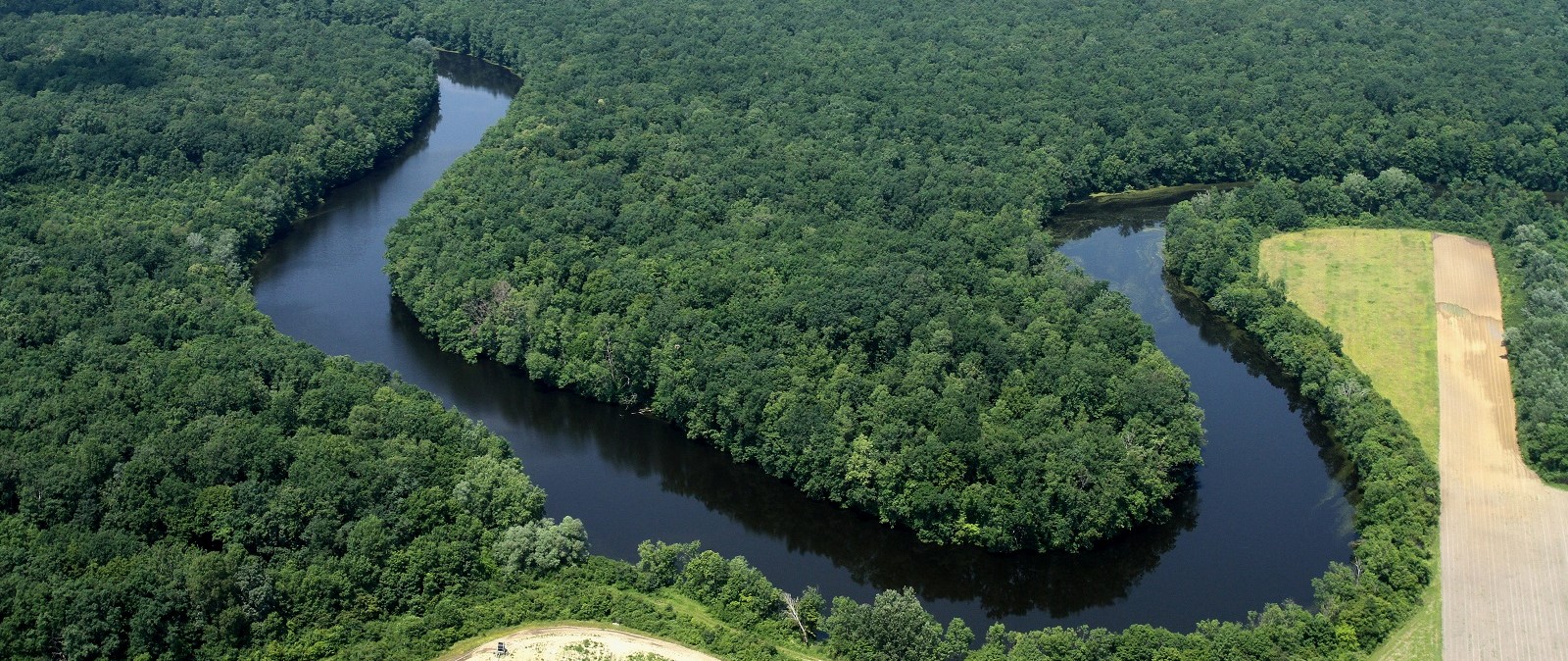 Naslovnica - Slavonski hrast